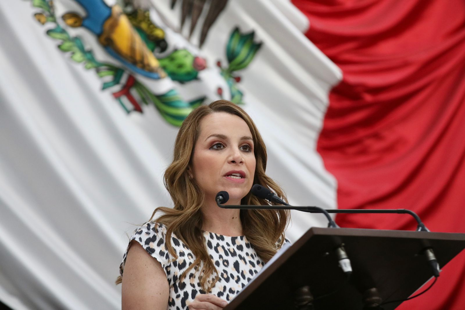Exhorta diputada construcción de Unidad Médica de Alta Especialidad del ...